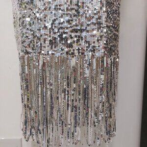 H&M | Skirts | Showstopper92s Flapper Style Silver Sequin Fringe Pencil ...